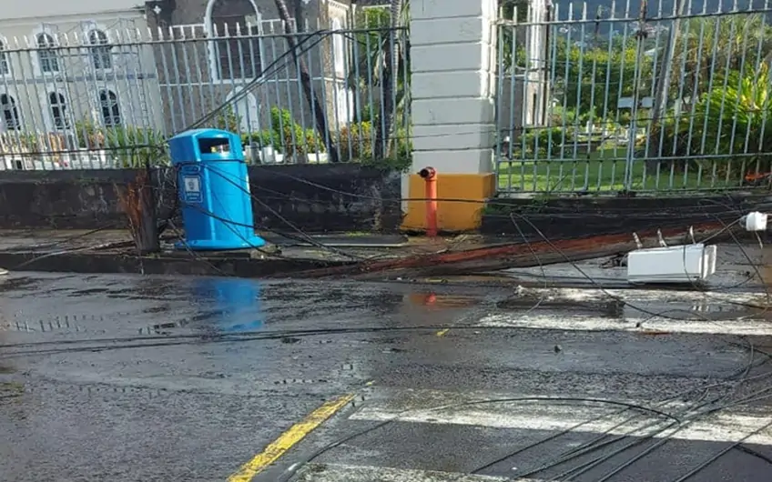 VINLEC Clarifies Responsibility After Pole Incident Injures Woman