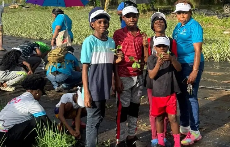 Republic Bank Empowers Youth Agriculture in St Kitts
