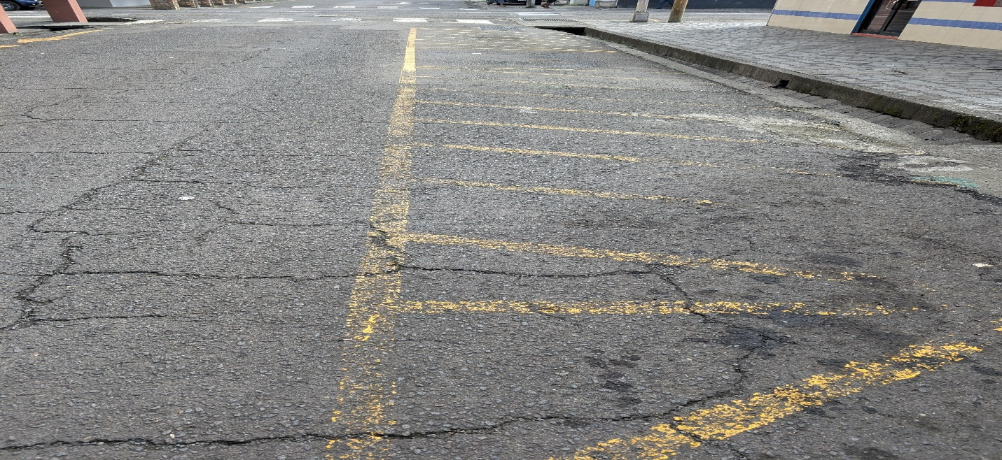 Selective police enforcement, parking bullies in SVG