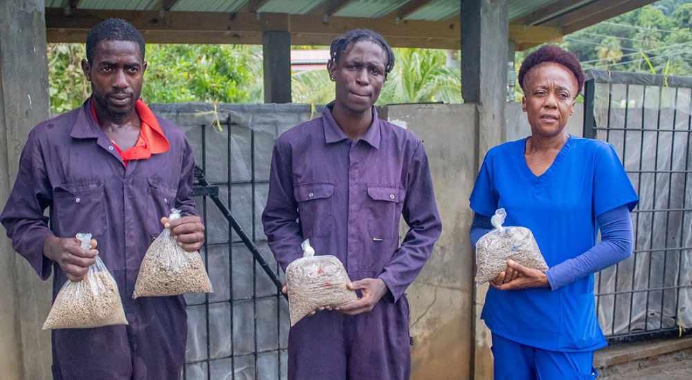 Dumbarton station study points to new direction for feed development